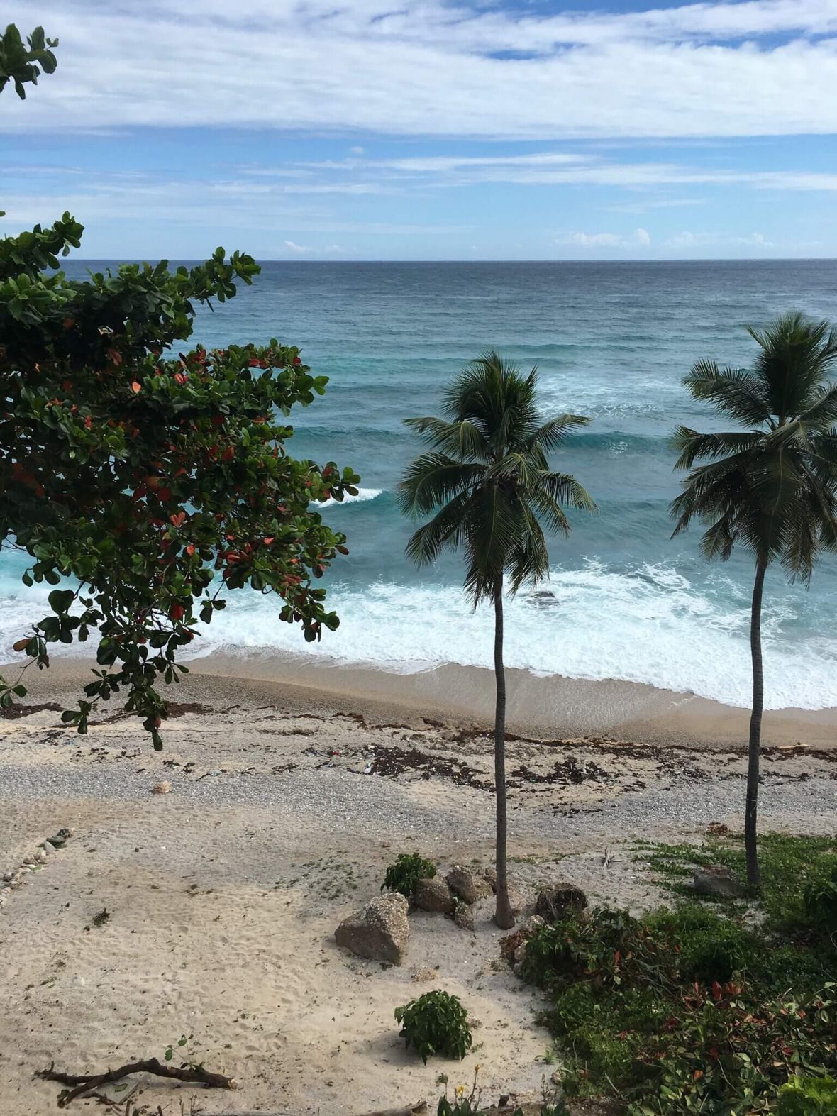 Barahona: DR’s Wild, Hidden Gem - Worldwide Wiricks